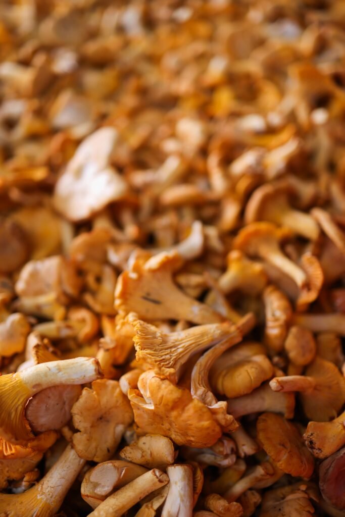 Island Fungi: A Guide To Foraging In Hawaii - Forage Fanatic